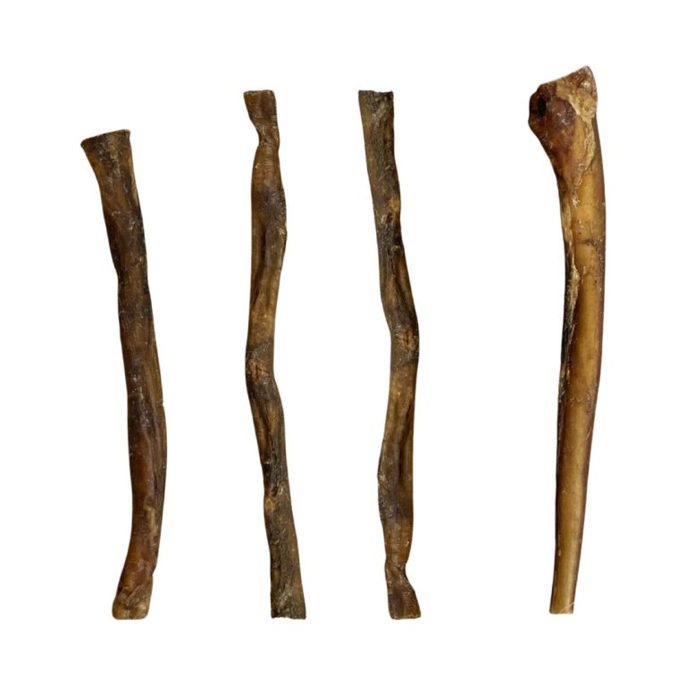 Buffalo Pizzle 1 x 24cm – BB Pet Supplies